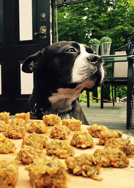 Recette de délicieux biscuits pour chien par Tandem.